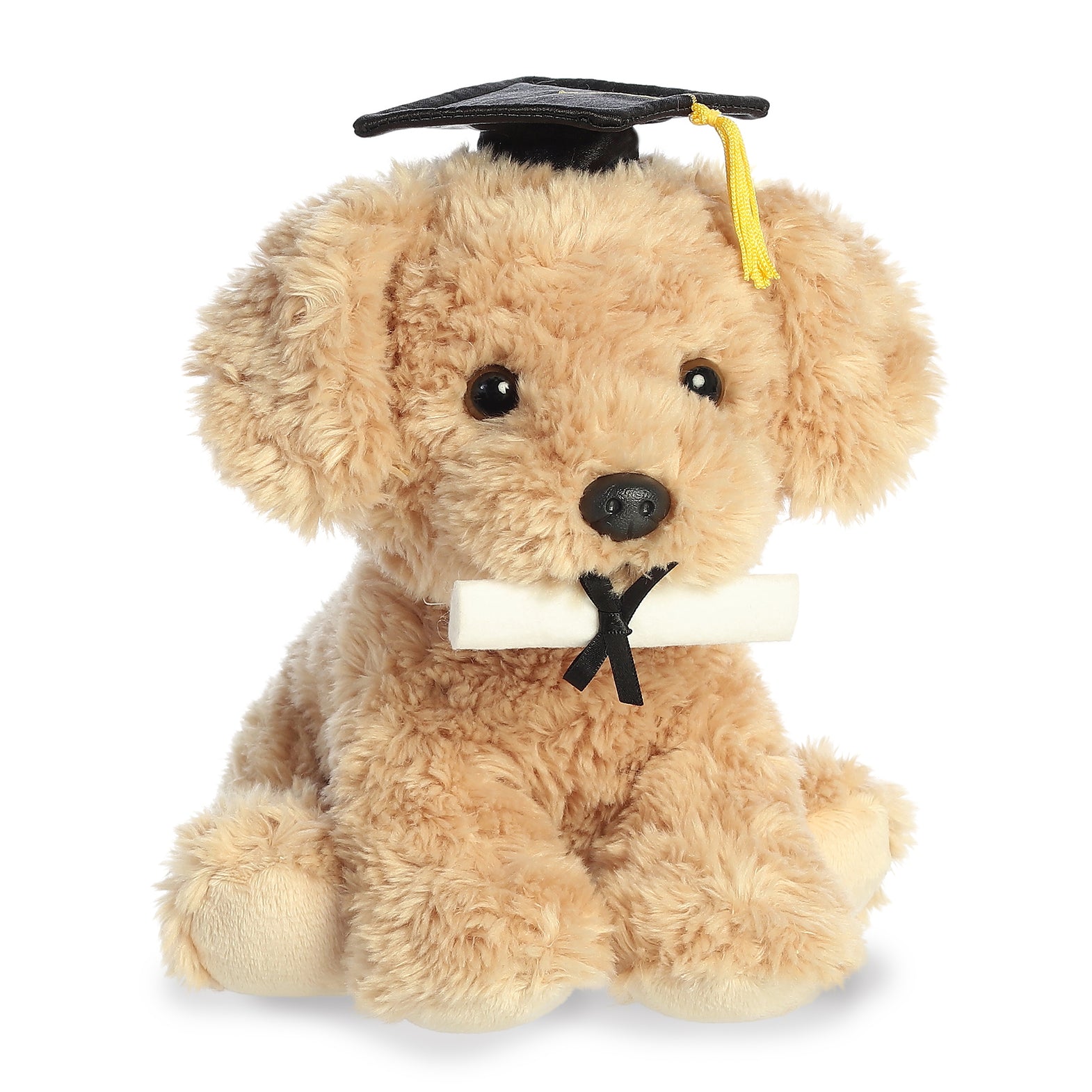Graduation – Aurora®